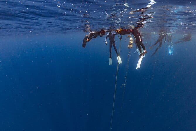 Beginner Freediving Course (with Bonus Session) - Why Travelers Love This Experience