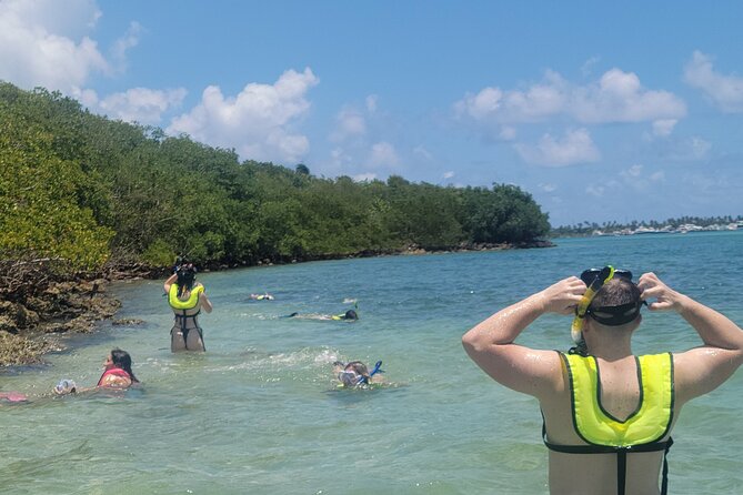 Beginner Friendly Island Snorkeling - Wildlife Encounters and Scenic Views