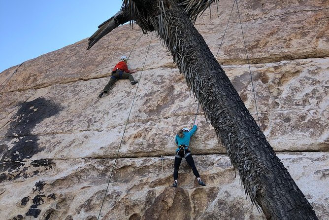 Beginner Group Rock Climbing in Joshua Tree National Park - Tour Details and Meeting Information