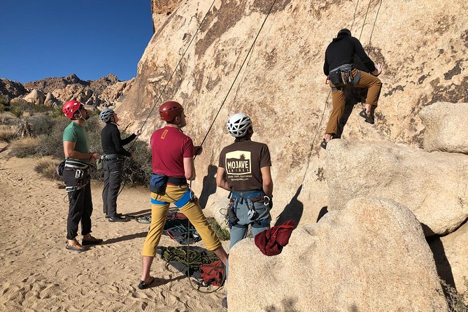 Beginner Group Rock Climbing in Joshua Tree National Park - Safety and Equipment Provided