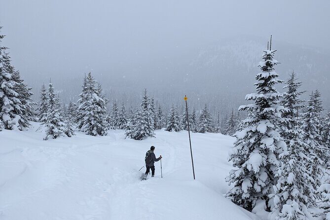 Beginner/Intermediate Snowshoeing in the Bitterroot Mountains - The Value of the Experience