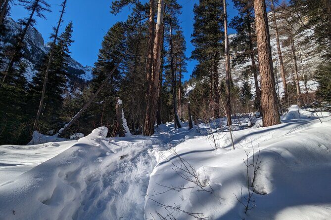Beginner/Intermediate Snowshoeing in the Bitterroot Mountains - The Sum Up