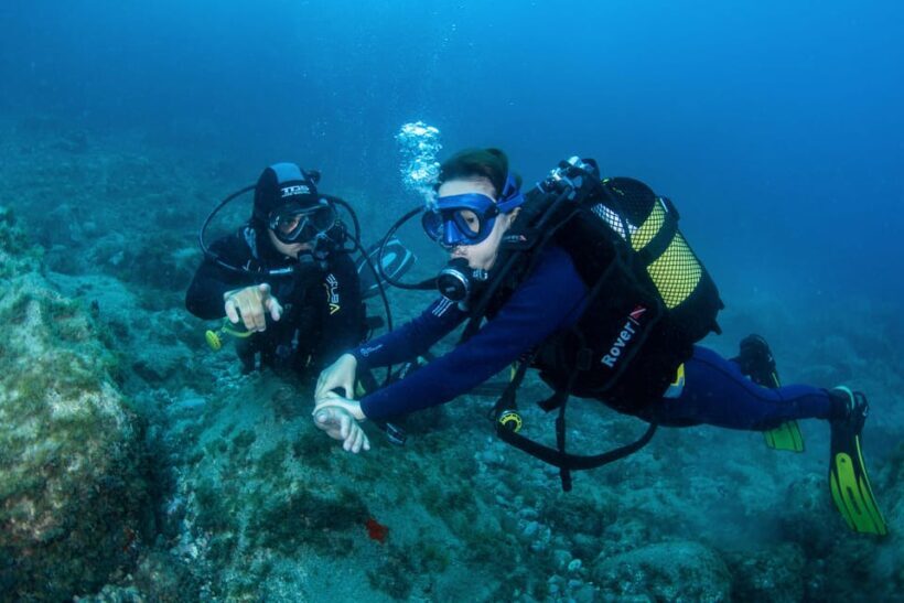 Beginner Scuba Dive with Scubapoint Tenerife in Turtle Area - Why This Beginner Scuba Tour Stands Out