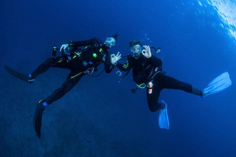 Beginner Scuba Dive with Scubapoint Tenerife in Turtle Area - Authentic Reviews and Insights