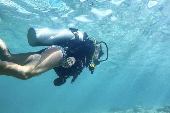 Beginner Scuba Diving Adventure with Videos in Honolulu - Practical Details: Timing, Accessibility, and Pricing