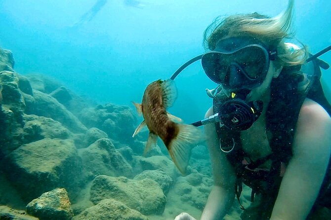 Beginner Scuba Diving Experience With Videos in West Palm Beach - What Does the Itinerary Look Like?