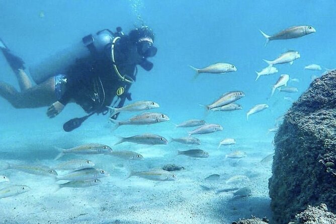 Beginner Scuba Diving Experience With Videos in West Palm Beach - The Equipment and Safety Measures
