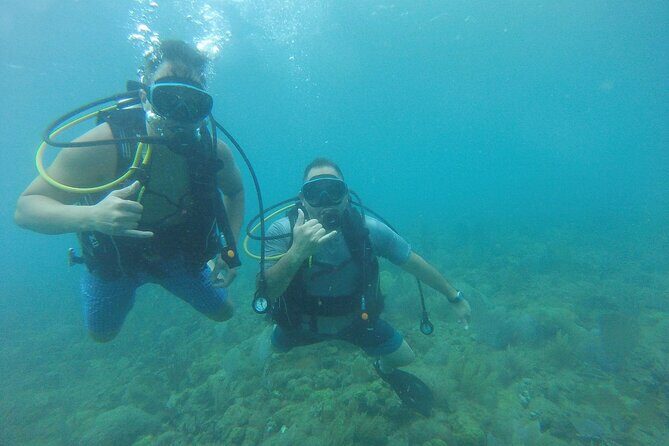 Beginner Scuba Diving Guided Tour - No Experience Required - Deep Dive into the Details