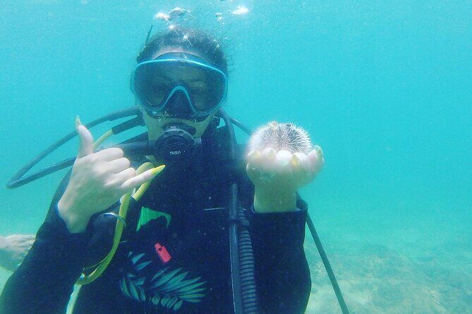 Beginner Scuba Diving Guided Tour - No Experience Required - Who Should Consider This Tour?