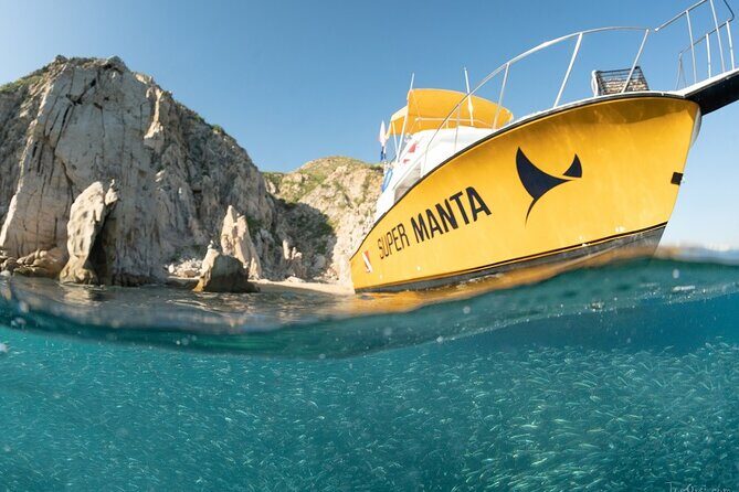 Beginner Scuba Diving in Cabo San Lucas - Authentic Experiences from Past Participants