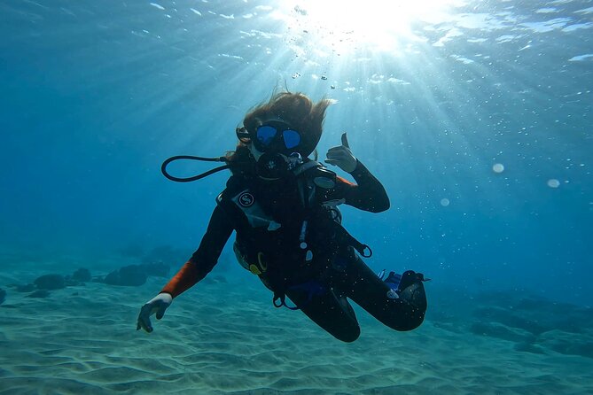 Beginner Scuba Experience with Video Package in Honolulu - The Sum Up: Who Will Love This Tour?