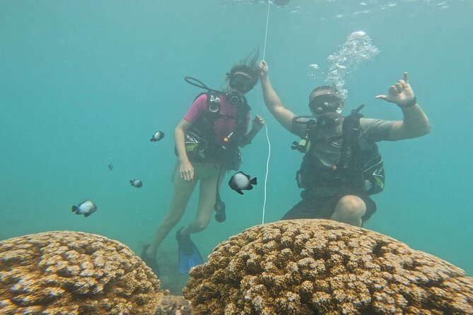 Beginner Scuba Experience with Video Package in Honolulu - FAQ