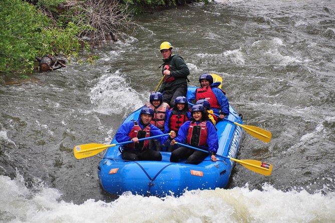 Beginner Whitewater Rafting on Historic Clear Creek - Who Should Book This Tour?