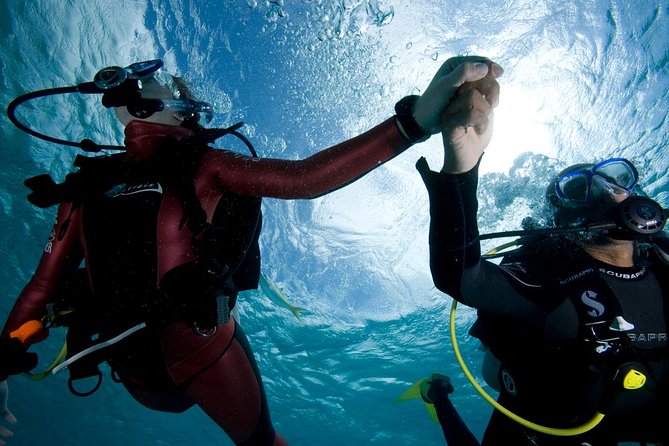 Beginners Scuba Diving Experience in Gran Canaria - What Makes This Tour Stand Out?