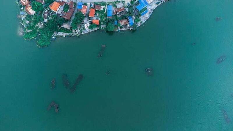 Begnas Lake Freshwater Fish Hunt & Culinary Experience - Key Points