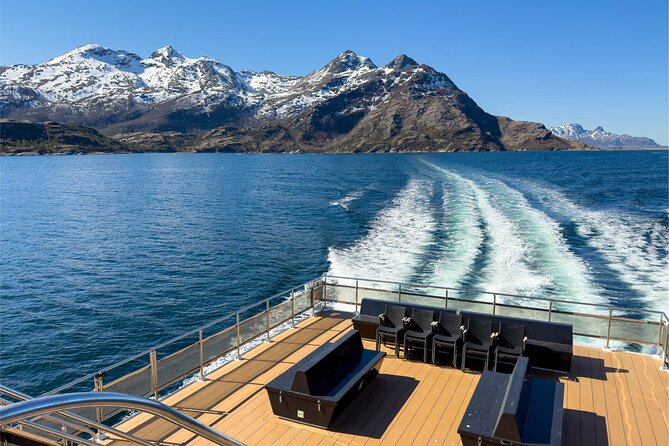 Beiarfjord & Saltstraumen Cruise with Guide - Authentic Traveler Perspectives