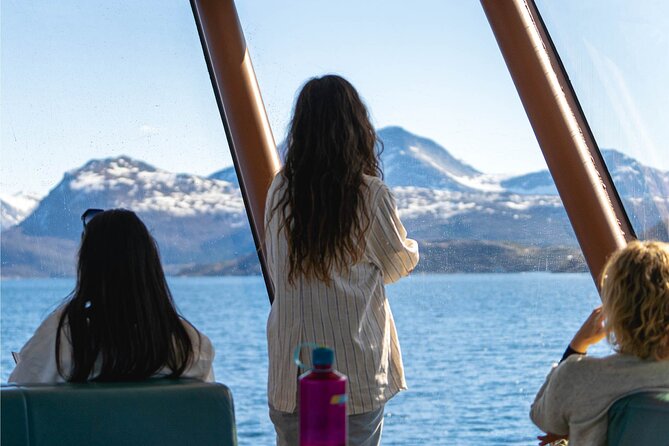 Beiarfjord & Saltstraumen Cruise with Guide - The Sum Up