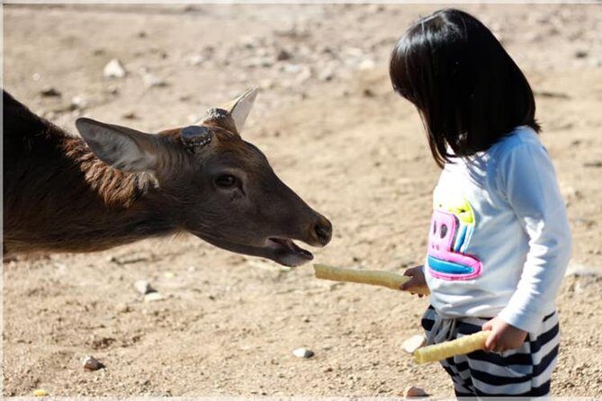Beijing Badaling Wildlife Park & Juyongguan Great Wall Private Tour - An In-Depth Look at the Tour
