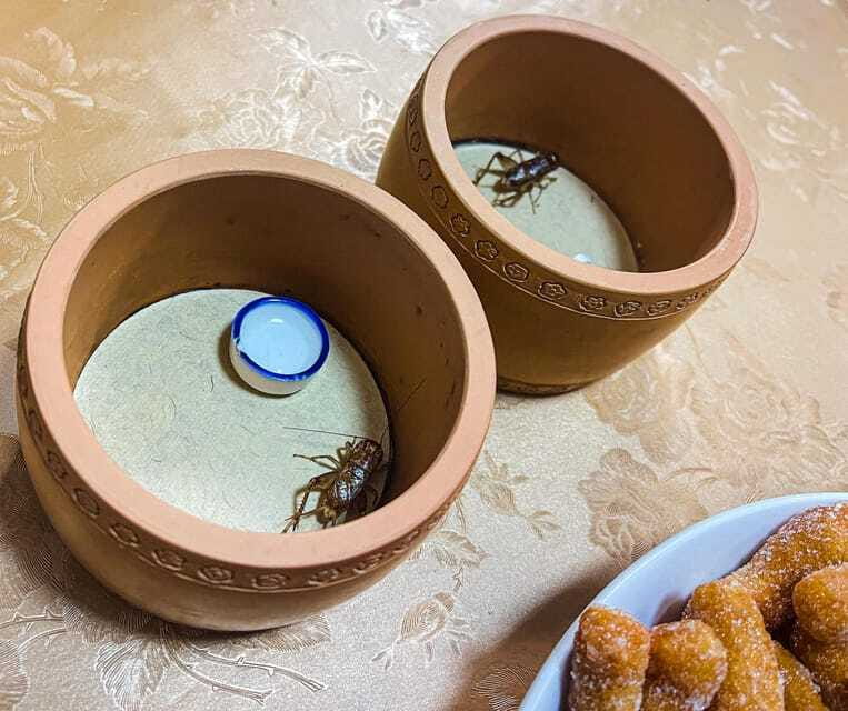 Beijing: Best Hutongs Cultural Tour for the Cricket Fights - FAQ