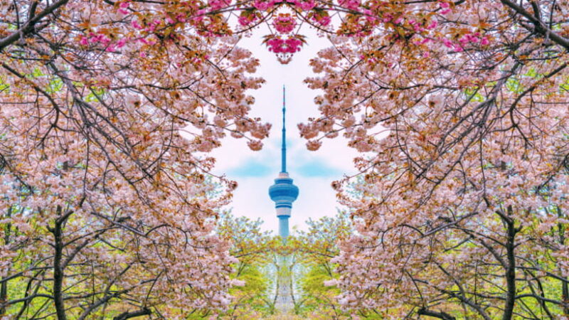 Beijing: Central Radio & TV Tower Observation Deck Ticket - Who Will Love This Experience?