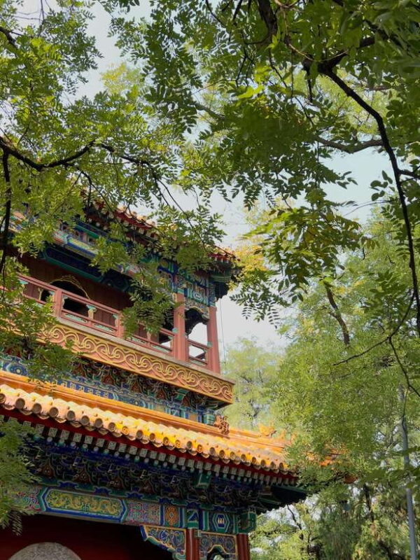 Beijing: Feng Shui Hutongs Tour - The Sum Up