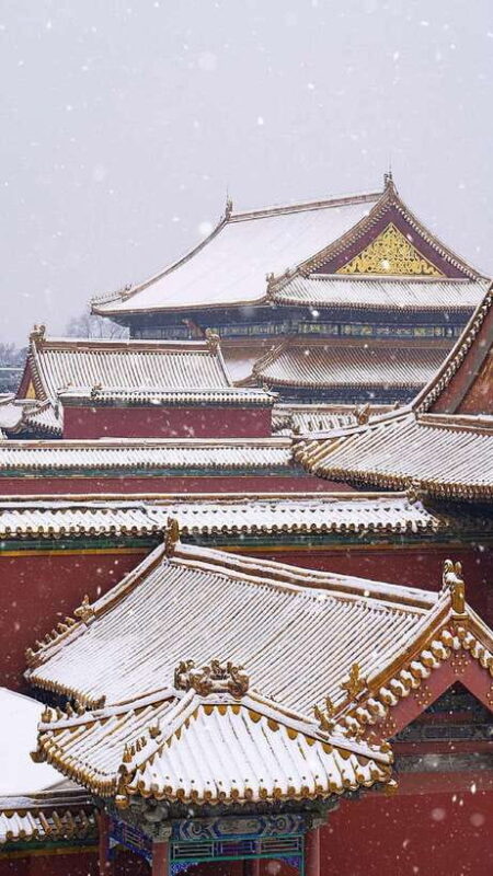 Beijing : Forbidden City Entry Ticket - Who Should Consider This Tour?