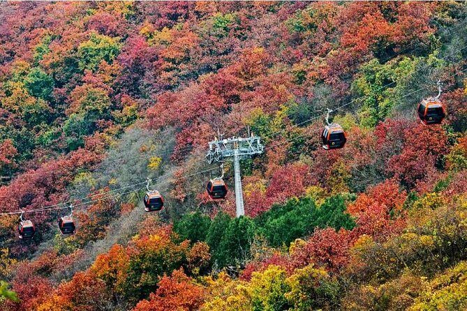Beijing Great Wall Private Day Tour from Shanghai by Bullet Train - The Experience at the Mutianyu Great Wall