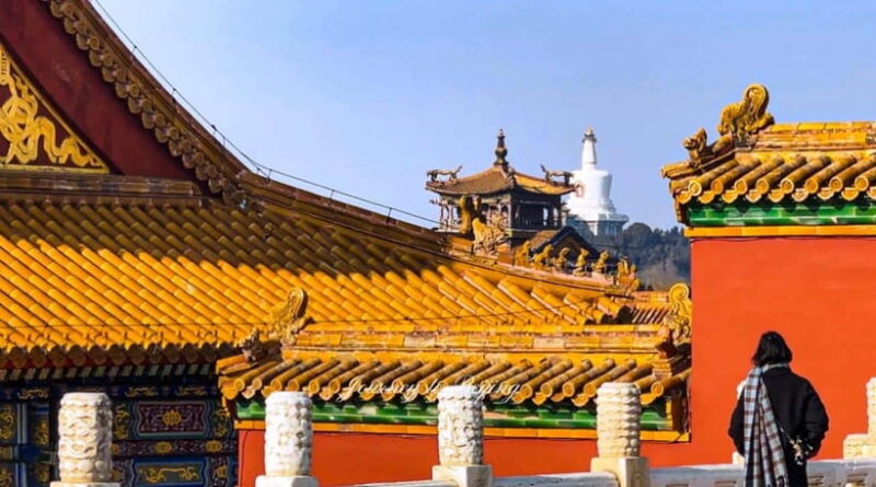 Beijing: Highlights of Forbidden City Private Walking Tour - Who This Tour Is Best For