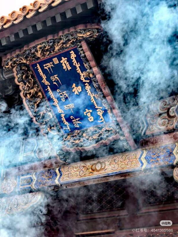 Beijing: Hutong Culture and Tea Tasting Private Tour - What Makes This Tour Special