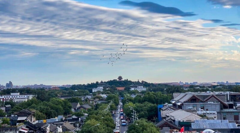 Beijing: Hutongs & Drum Tower City Walking Tour - Key Points