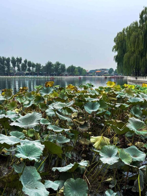 Beijing: Hutongs & Drum Tower City Walking Tour - FAQ