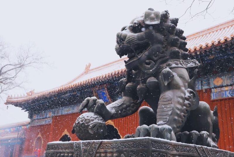Beijing lama Temple Or Confucius Temple Tickets Reservation - Visiting the Confucius Temple