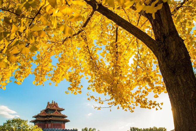Beijing Layover Tour to Tiananmen Square and Forbidden City - FAQ