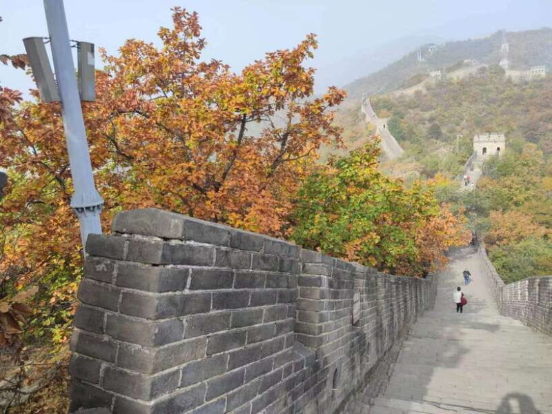 Beijing: Mutianyu Great Wall and Forbidden City Private Tour - What’s Included and What’s Not