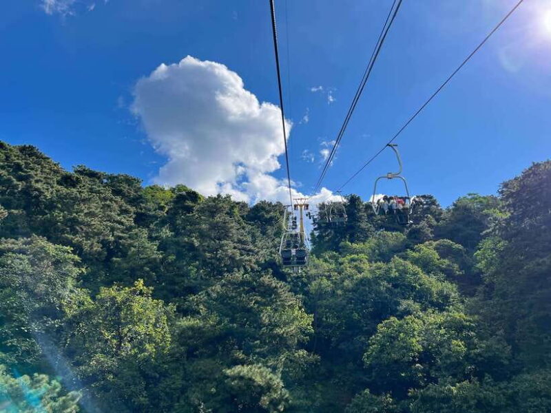 Beijing: Mutianyu Great Wall & Summer Palace Day Tour - Final Words