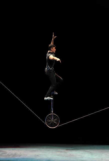 Beijing: Night Tour of Acrobatics Show Including Transfer - Authenticity and Educational Value