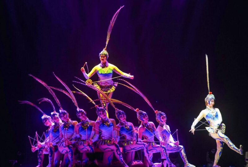 Beijing: Night Tour of Acrobatics Show Including Transfer - Who Will Love This Experience?