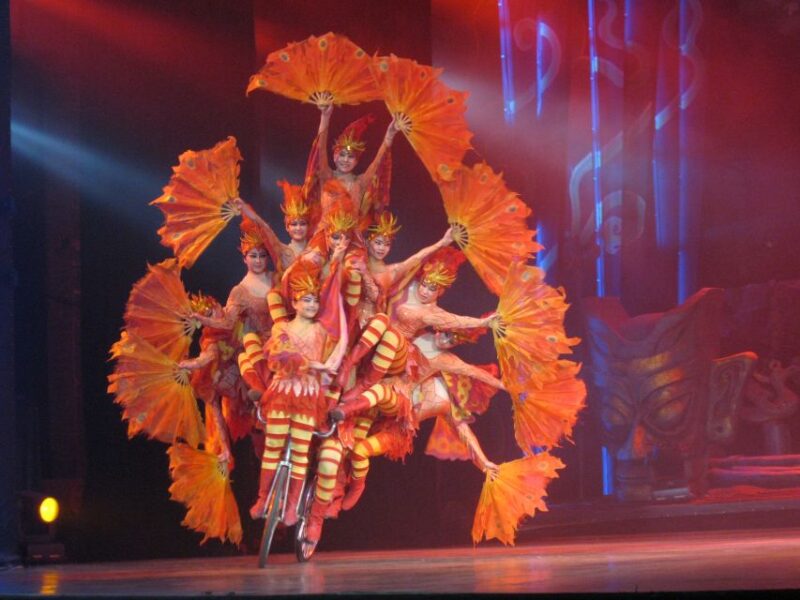 Beijing Night Tour with Acrobatics Show & PekingDuck Dinner - The Acrobatics Show: A Thrilling Display of Skill