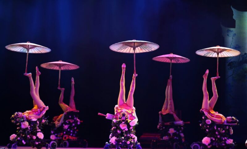 Beijing Night Tour with Acrobatics Show & PekingDuck Dinner - Who Will Love This Tour?