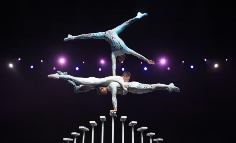 Beijing Night Tour with Acrobatics Show & PekingDuck Dinner - FAQ