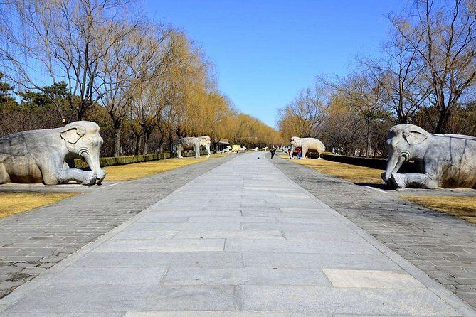 Beijing Private Layover Tour: Ming Tombs, Temple of Heaven and Wangfujing Street - FAQ