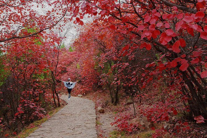 Beijing Private Tour to Summer Palace and Fragrant Hill with Cable Car Ride - A Closer Look: What Makes This Tour Stand Out