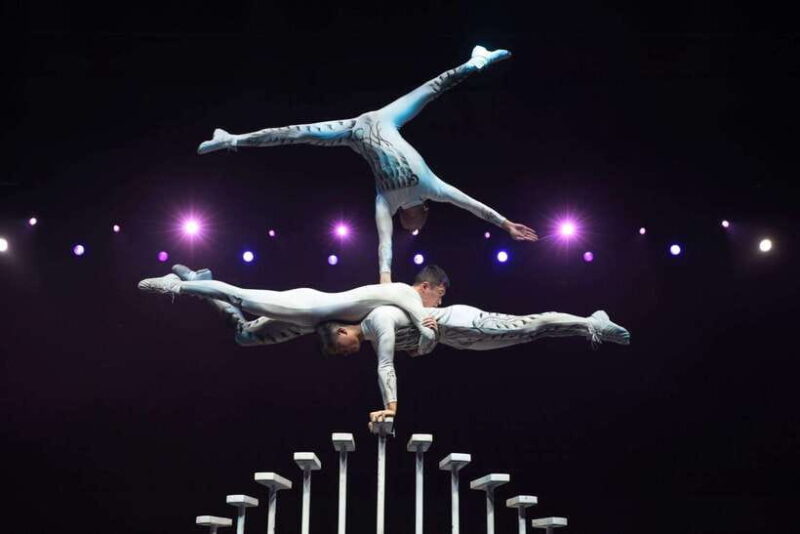 Beijing: Red Theatre Acrobatics show viewing Chinese culture - Authentic Reviews