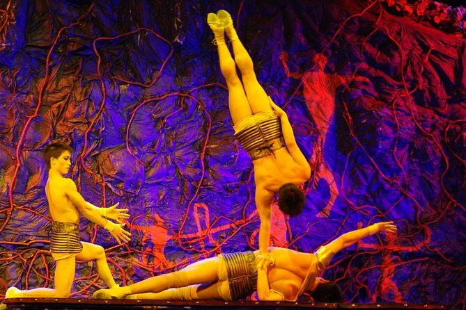 Beijing Roast Duck Dining & Acrobatic Show w/ Transfer - Authenticity and Tips for Travelers