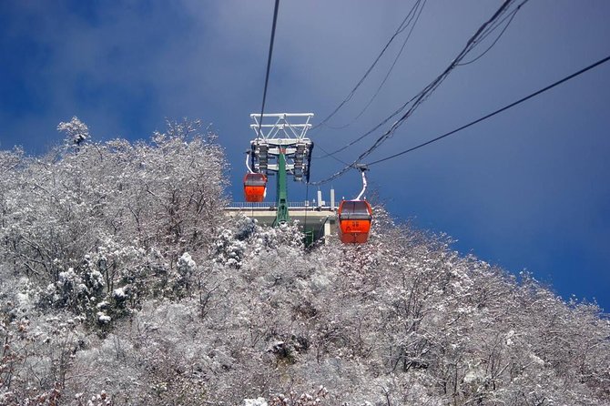 Beijing Small-Group Tour: Mutianyu Great Wall With Lunch Inclusive - Transport, Duration, and Flexibility