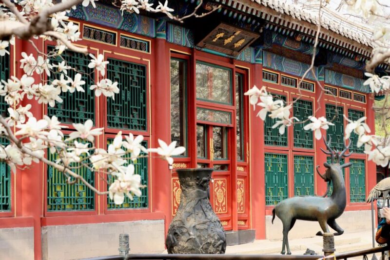 Beijing: Summer Palace Sacred Road & Ming Tombs Private Tour - Value and Practicalities: What Travelers Should Know