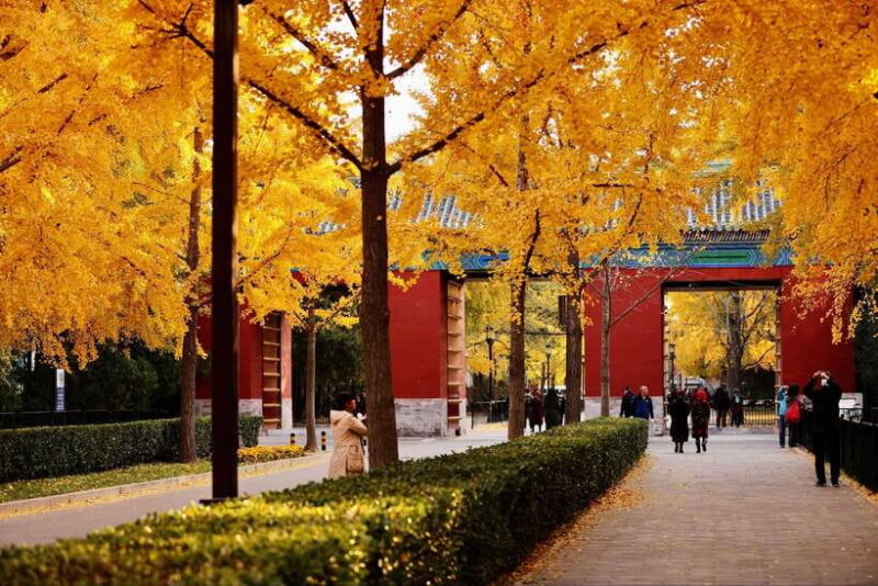 Beijing: Temple of Earth ticket; Serene, Majestic, Ancient - Key Points