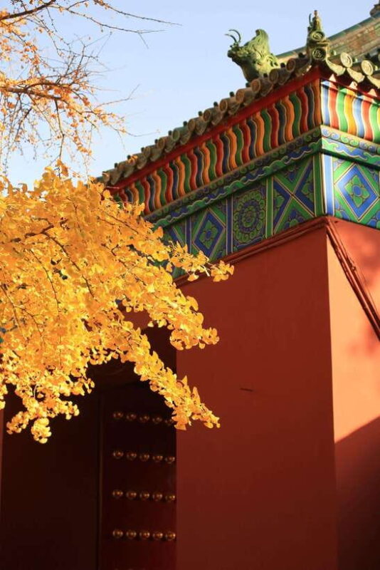 Beijing: Temple of Earth ticket; Serene, Majestic, Ancient - Who Should Visit?