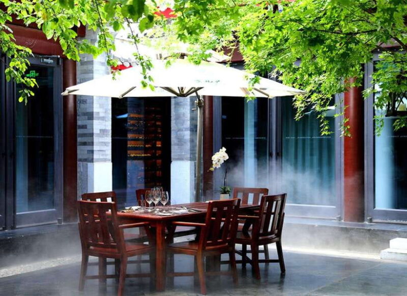 Beijing: Top Michelin Vegetarian Restaurant Reservation - Who Will Love This Experience?