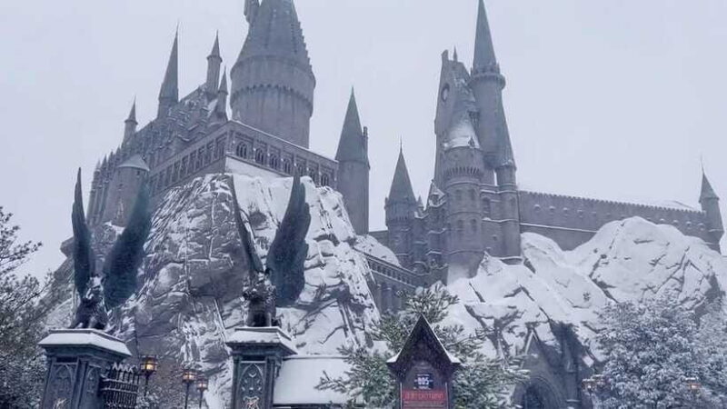 Beijing: Universal Beijing Resort 1-Day for Adult - The Sum Up